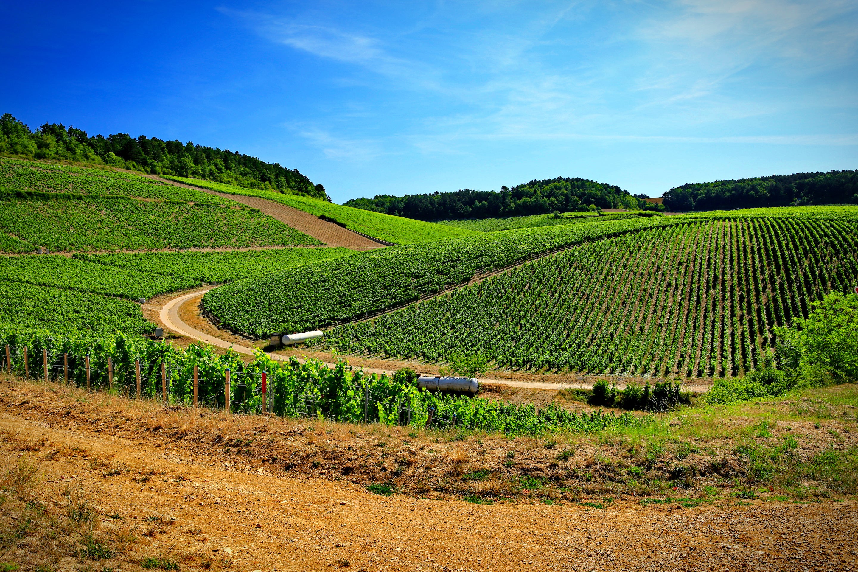 About us – Domaine Watson